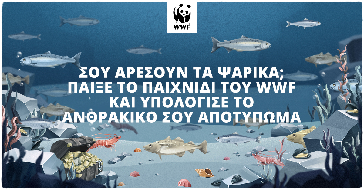 WWF Finprint Game